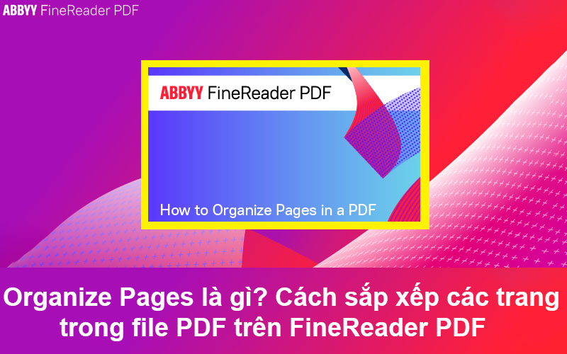 Organize Pages là gì? Cách sắp xếp các trang trong file PDF trên ...