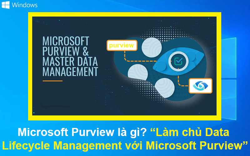 Microsoft Purview là gì? Làm chủ Data Lifecycle Management với ...